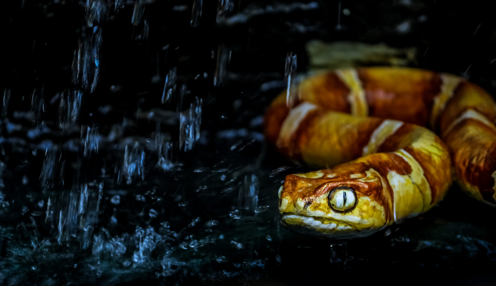 Rêve de serpent en Islam : signification et interprétations